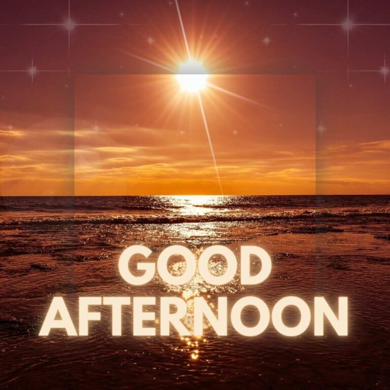 109+ Good Afternoon Images, quotes, and wishes [Beautiful]