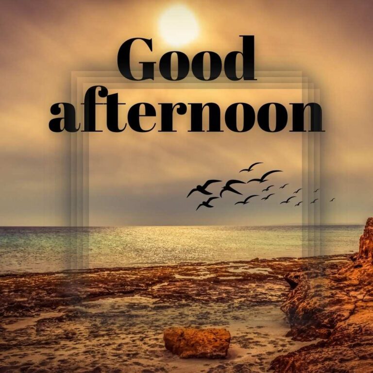 109+ Good Afternoon Images, quotes, and wishes [Beautiful]