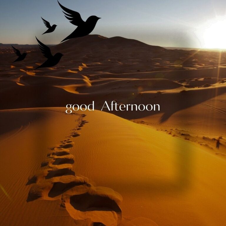 109+ Good Afternoon Images, quotes, and wishes [Beautiful]