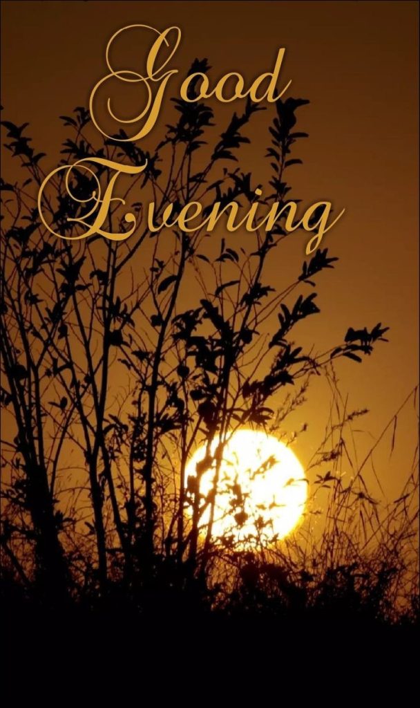 30+ Beautiful Good Evening Images, Photos and Wallpaper 2026
