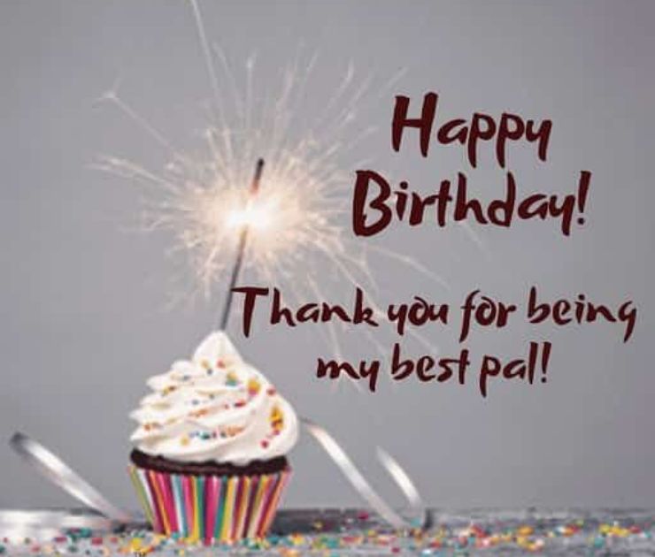300+Happy Birthday Wishes for Fighter 2026