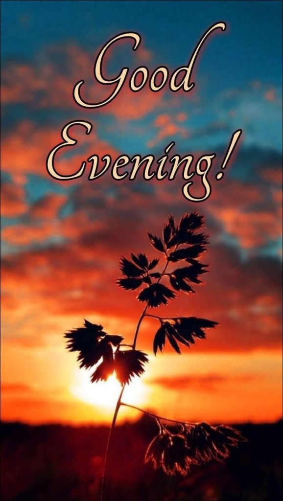 30+ Beautiful Good Evening Images, Photos and Wallpaper 2026