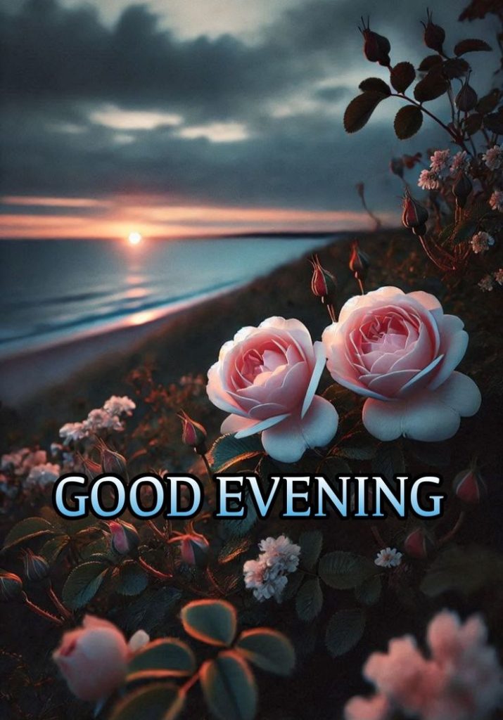 30+ Beautiful Good Evening Images, Photos and Wallpaper 2026