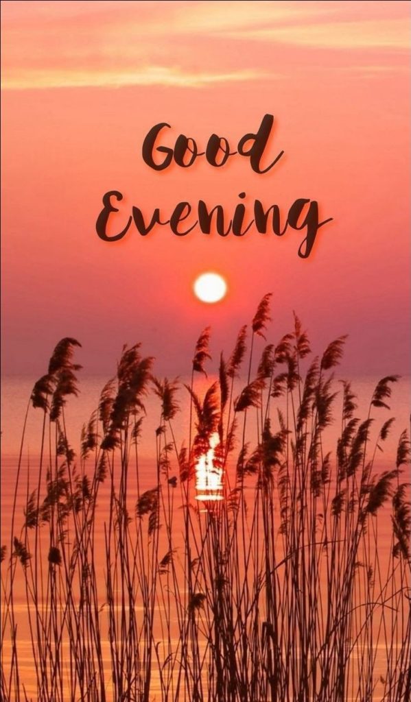30+ Beautiful Good Evening Images, Photos and Wallpaper 2026