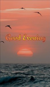 30+ Beautiful Good Evening Images, Photos and Wallpaper 2026
